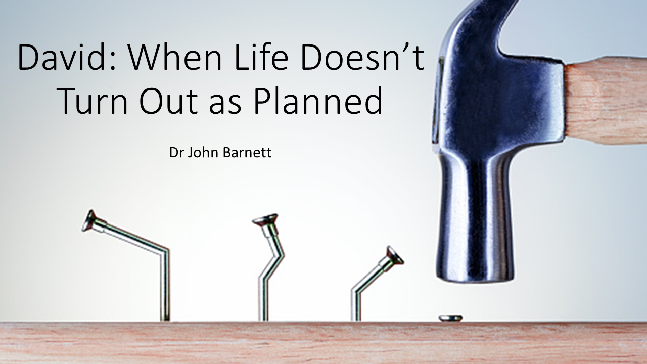 David – When Life Doesn’t Turn Out As Planned | Discover the Book ...